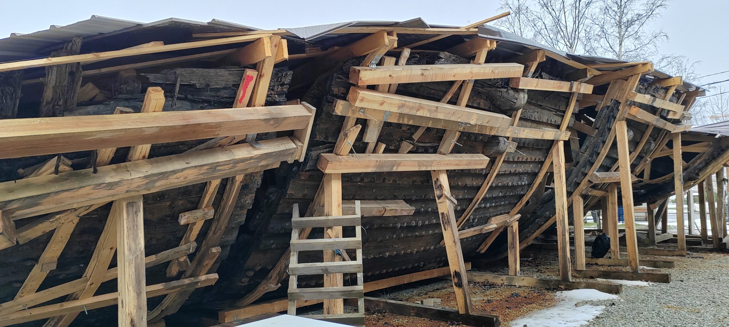 Sissejuhataja: Seesama meri meis kõigis | Soome Instituut Eestis